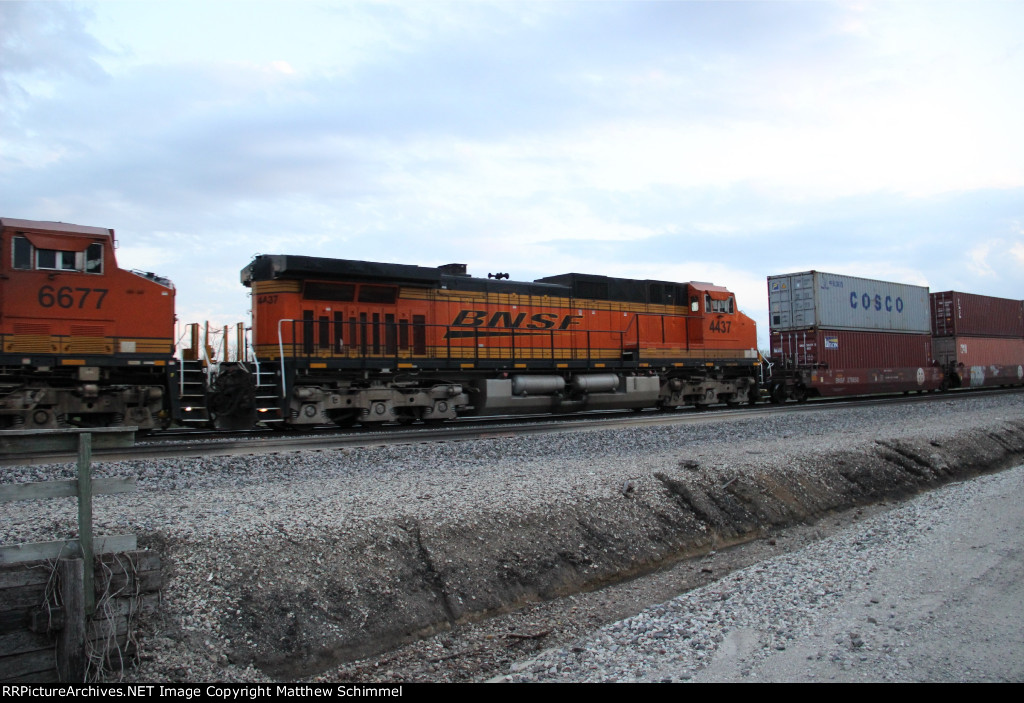 BNSF 4437